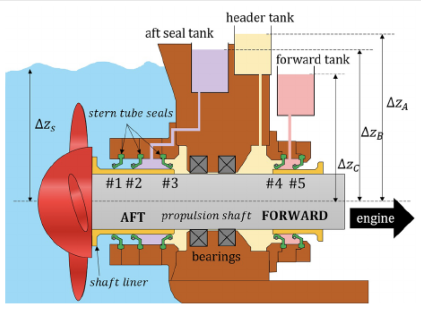 Stern Tube Explained | Location, Parts and Purpose