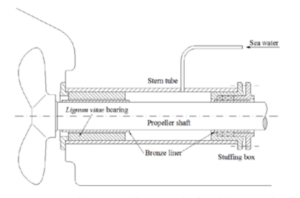 Stern Tube Explained | Location, Parts and Purpose